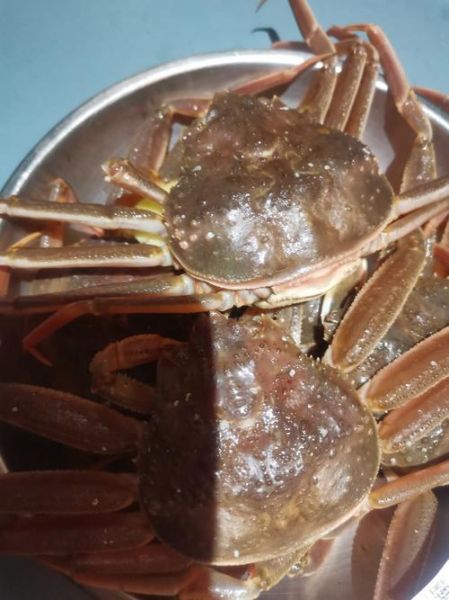 清蒸长脚蟹的做法大全_清蒸长脚蟹蒸多久才熟-第2张图片-山城妙识