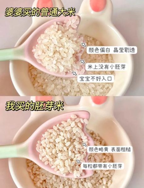 胚芽米是什么_胚芽米怎么煮才营养-第1张图片-山城妙识