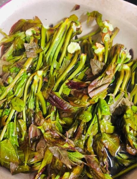 腌香椿的做法大全_香椿怎么腌制好吃又脆-第1张图片-山城妙识