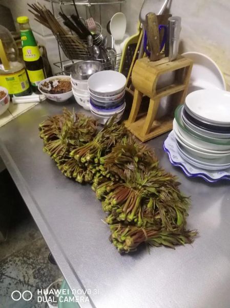 香椿怎么腌制_香椿腌多久可以吃-第3张图片-山城妙识