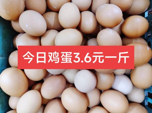 今日鸡蛋价格多少钱一斤_鸡蛋行情为何波动大-第2张图片-山城妙识