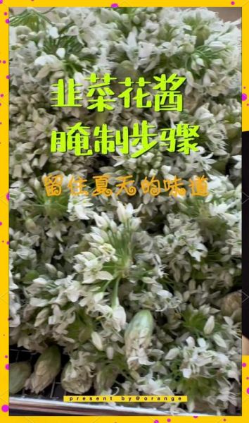 韭菜花酱可以炒菜吗_韭菜花酱怎么炒菜-第1张图片-山城妙识