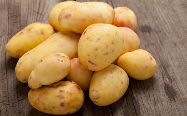 马铃薯图片大全大图_如何挑选高清素材-第3张图片-山城妙识 马铃薯图片大全大图_如何挑选高清素材-第3张图片-山城妙识