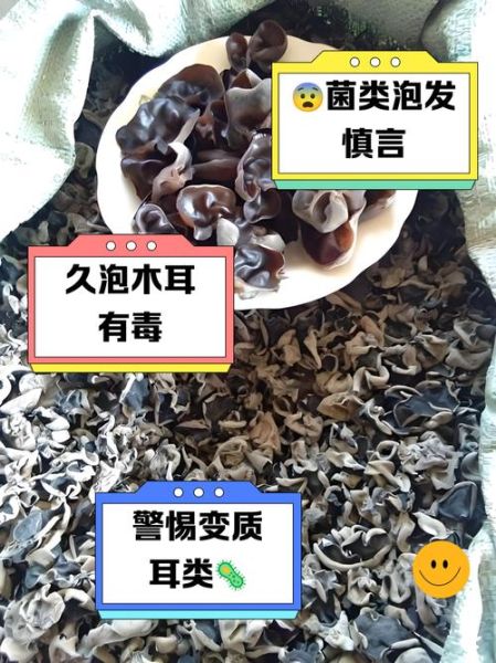 隔夜木耳有毒吗_隔夜木耳中毒真相-第1张图片-山城妙识