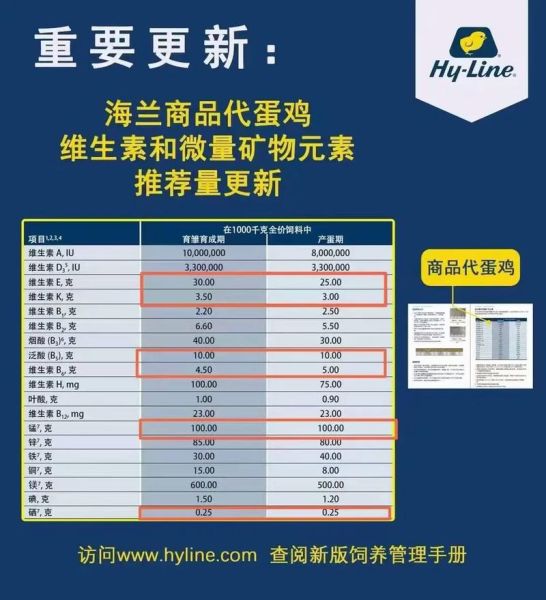 养1000只鸡一年收入_需要多少成本-第1张图片-山城妙识 养1000只鸡一年收入_需要多少成本-第1张图片-山城妙识