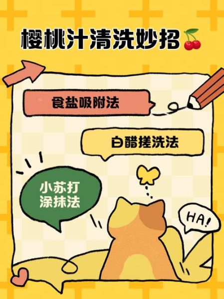 樱桃汁怎么做_樱桃汁的制作方法-第1张图片-山城妙识 樱桃汁怎么做_樱桃汁的制作方法-第1张图片-山城妙识