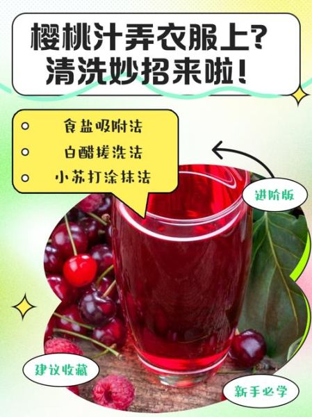 樱桃汁怎么做_樱桃汁的制作方法-第3张图片-山城妙识 樱桃汁怎么做_樱桃汁的制作方法-第3张图片-山城妙识