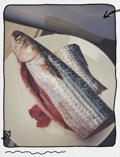 乌头鱼怎么做好吃_乌头鱼清蒸做法-第2张图片-山城妙识