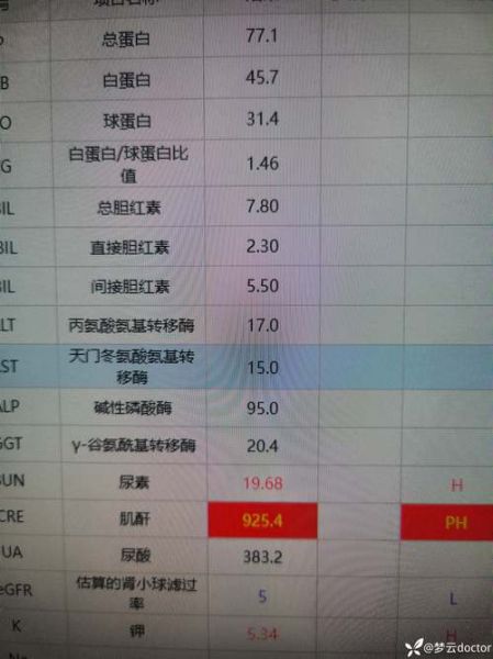 铁蛋白正常值是多少_铁蛋白偏高偏低原因-第1张图片-山城妙识