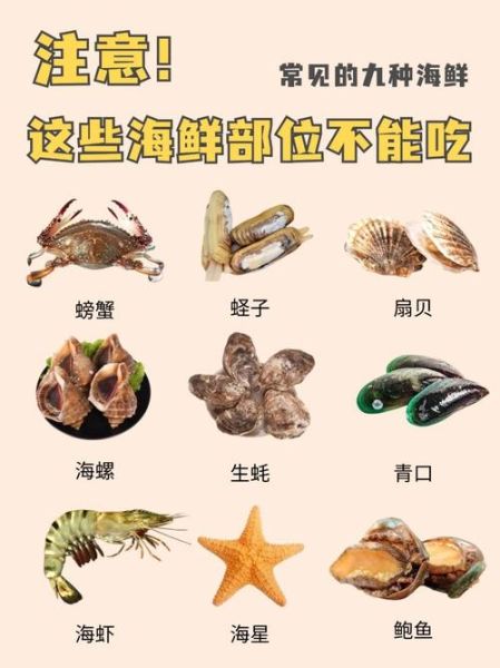海产品图片大全及名称_哪些海鲜值得收藏-第1张图片-山城妙识