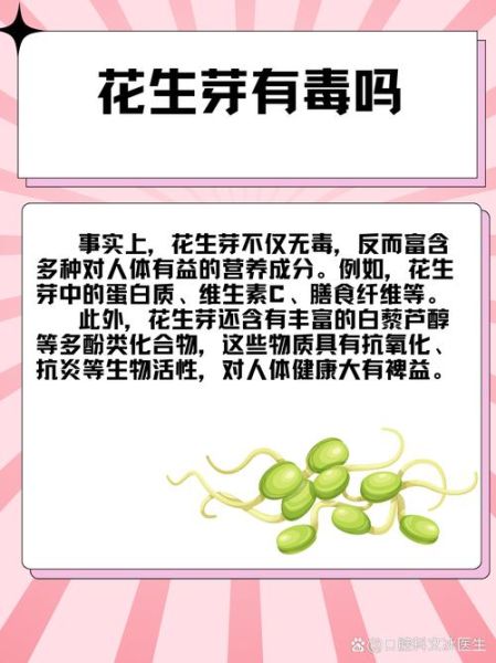 花生芽有什么营养价值_花生芽的功效与作用-第3张图片-山城妙识