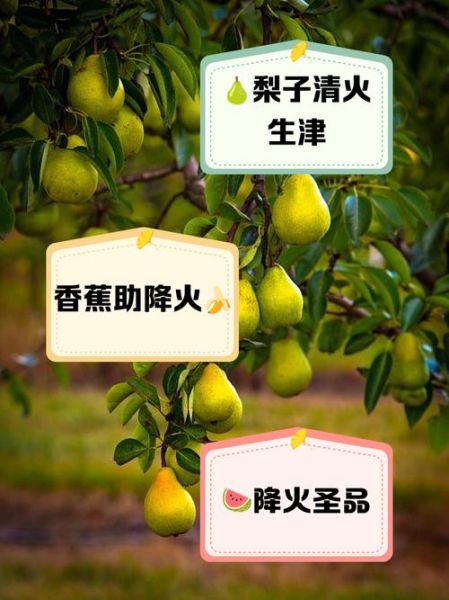 吃什么水果下火最快_上火吃什么水果最有效-第3张图片-山城妙识