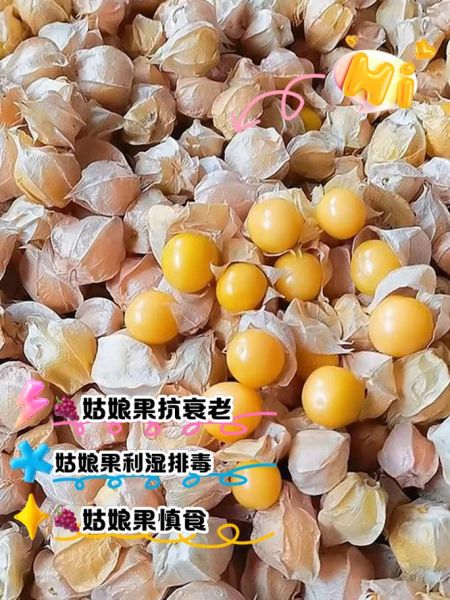 菇凉是什么意思_菇凉和姑娘有什么区别-第1张图片-山城妙识