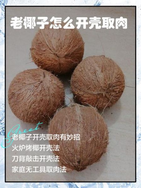 椰肉怎么取出来方便_椰子肉怎么挖出来完整-第3张图片-山城妙识