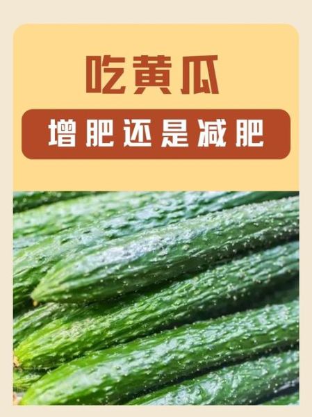 吃什么增肥最快最有效_瘦人如何快速增重-第3张图片-山城妙识