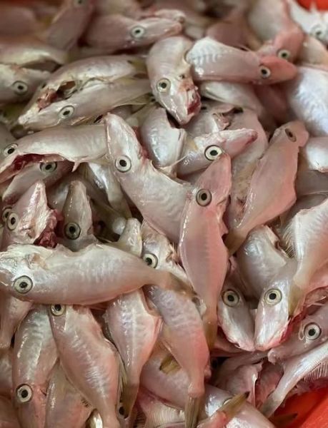 大扒皮鱼怎么做_大扒皮鱼做法步骤详解-第1张图片-山城妙识