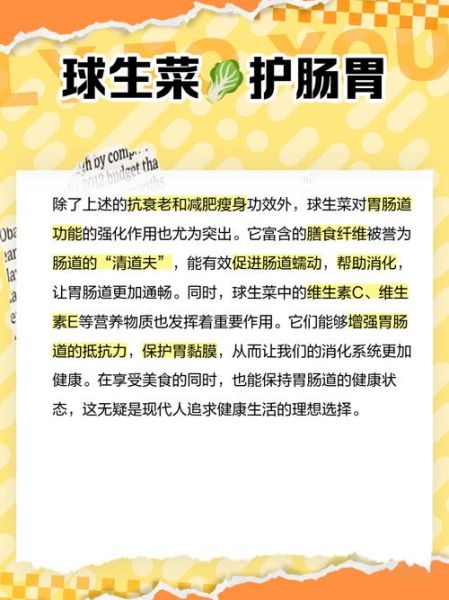 球生菜的功效与作用_球生菜怎么吃最营养-第2张图片-山城妙识