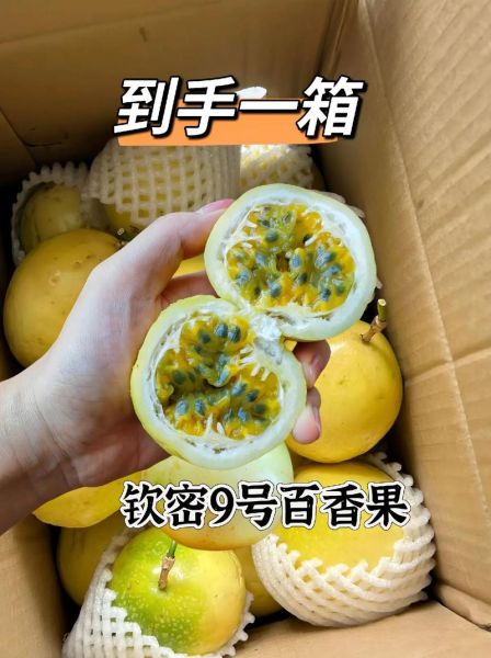 黄金百香果怎么保存_能放多久-第2张图片-山城妙识 黄金百香果怎么保存_能放多久-第2张图片-山城妙识