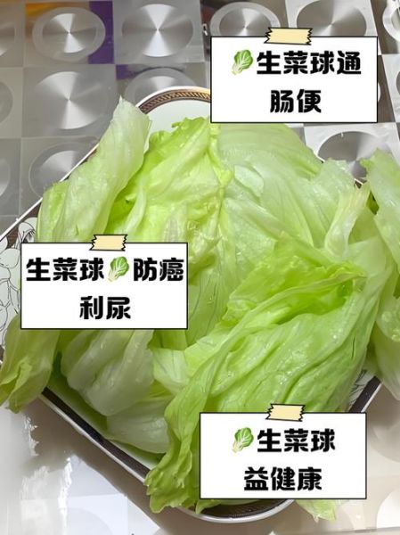 球生菜的功效与作用_球生菜怎么吃最营养-第1张图片-山城妙识