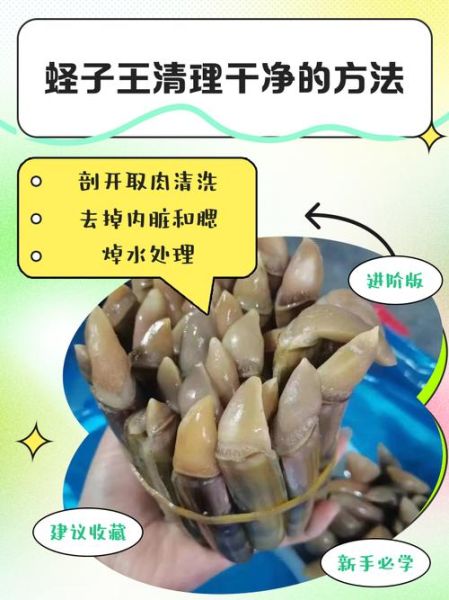 蛏子内脏怎么去除_蛏子去内脏视频教程-第2张图片-山城妙识
