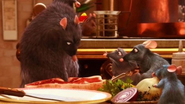 料理鼠王电影在线观看_哪里能免费看高清-第1张图片-山城妙识 料理鼠王电影在线观看_哪里能免费看高清-第1张图片-山城妙识