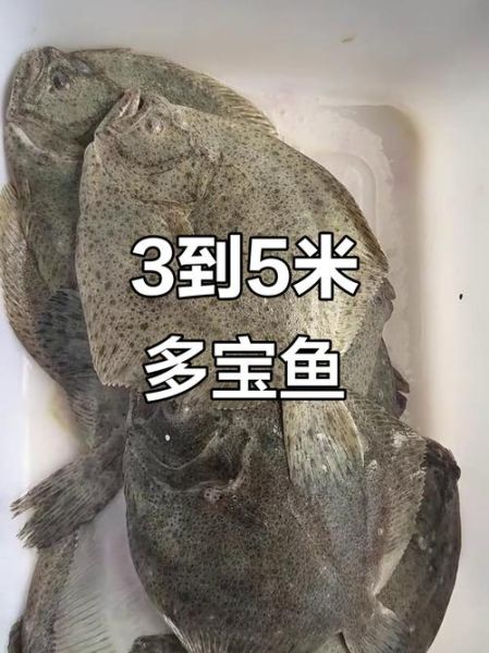 多宝鱼多少钱一斤2019_2019多宝鱼价格走势-第1张图片-山城妙识