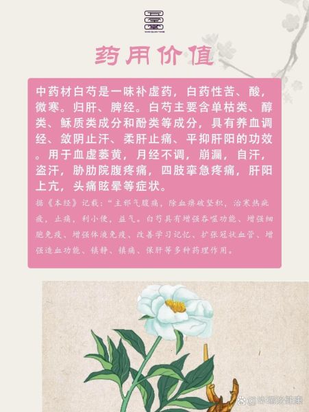 白芍的别名有哪些_白芍别名叫什么-第2张图片-山城妙识