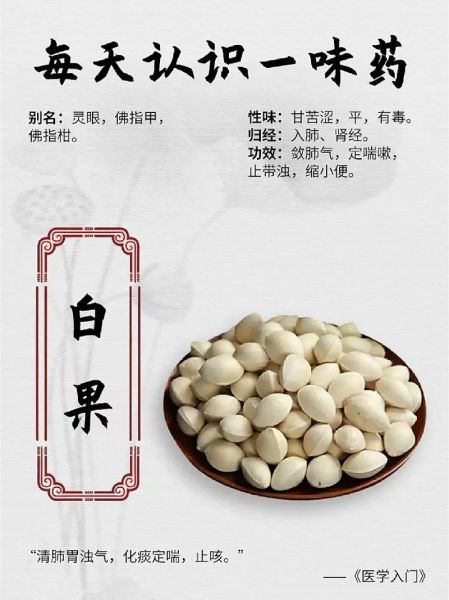 白果怎么吃_白果对肺结核有作用吗-第1张图片-山城妙识