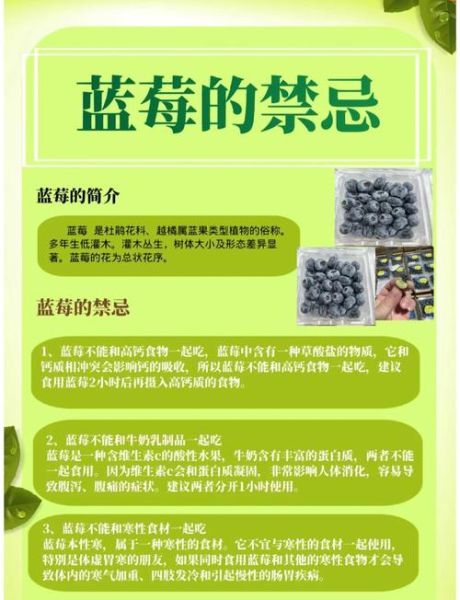 蓝莓的功效与副作用有哪些_蓝莓吃多了会怎样-第1张图片-山城妙识