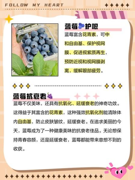 女人吃蓝莓有什么好处_蓝莓对女性的功效与作用-第2张图片-山城妙识