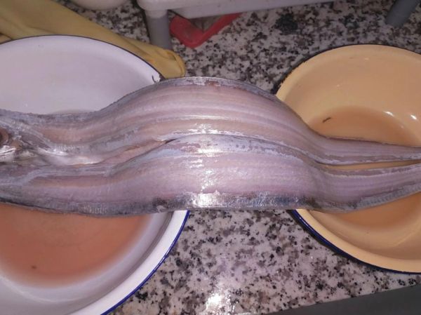 带鱼怎么洗干净_带鱼清洗图解步骤-第2张图片-山城妙识