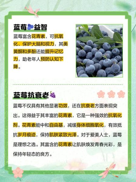 蓝莓的功效与副作用有哪些_蓝莓吃多了会怎样-第3张图片-山城妙识