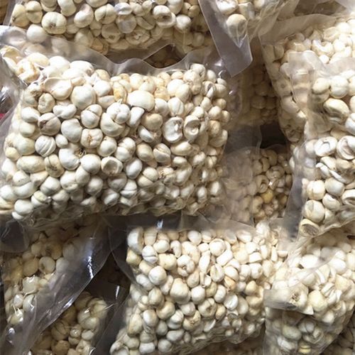 藏贝母的功效与作用_藏贝母多少钱一克-第3张图片-山城妙识