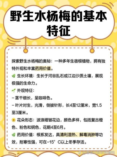 水杨梅根的功效与作用_水杨梅根能治什么病-第2张图片-山城妙识