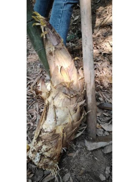 话梅花生怎么做好吃_话梅花生做法窍门-第2张图片-山城妙识 话梅花生怎么做好吃_话梅花生做法窍门-第2张图片-山城妙识