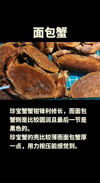 面包蟹和大闸蟹哪个好吃_区别与选购指南-第1张图片-山城妙识