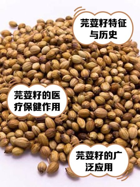 芫荽子是什么东西_芫荽子和香菜籽的区别-第1张图片-山城妙识