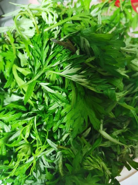 清明果艾草图片_如何挑选新鲜艾草-第2张图片-山城妙识