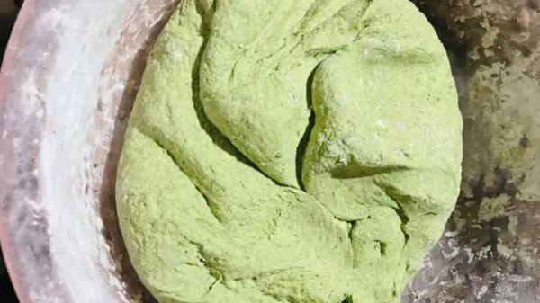 清明果艾草图片_如何挑选新鲜艾草-第1张图片-山城妙识