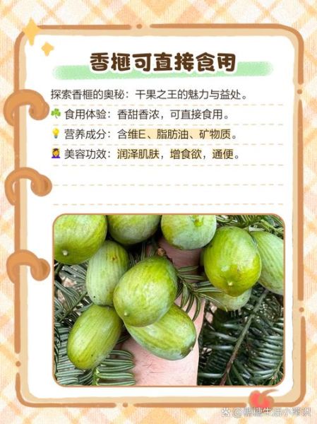 香榧怎么吃最好_香榧一天吃多少粒-第1张图片-山城妙识