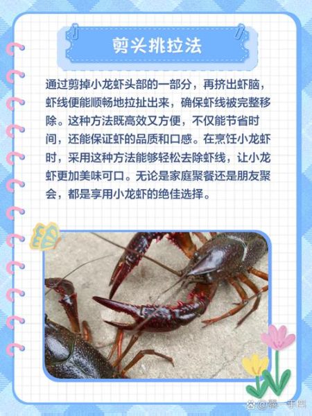小龙虾虾线怎么去除_去虾线最简单的方法-第1张图片-山城妙识