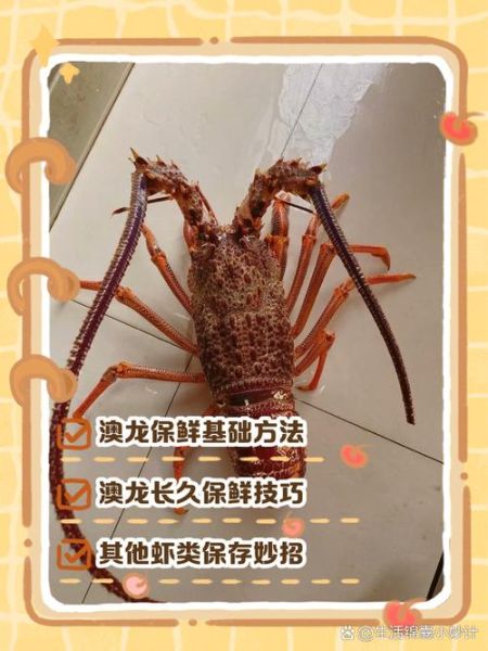 澳龙怎么处理_澳龙做法步骤详解-第1张图片-山城妙识