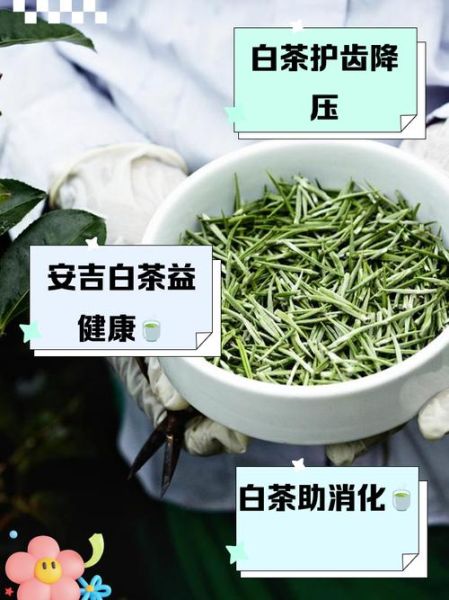 安吉白茶功效有哪些_长期喝有什么好处-第3张图片-山城妙识