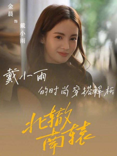 北辙南辕戴小雨结局_戴小雨最后和谁在一起-第1张图片-山城妙识