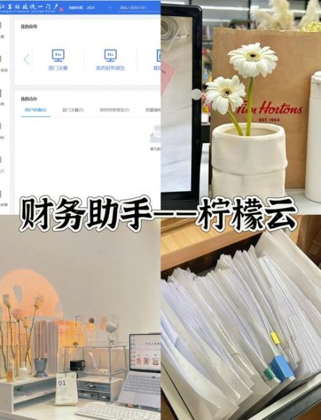 柠檬云财税倒闭了吗_用户数据怎么办-第1张图片-山城妙识