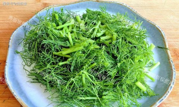 小茴香叶的功效与作用_小茴香叶怎么吃最好-第2张图片-山城妙识