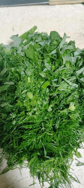 小茴香叶的功效与作用_小茴香叶怎么吃最好-第3张图片-山城妙识