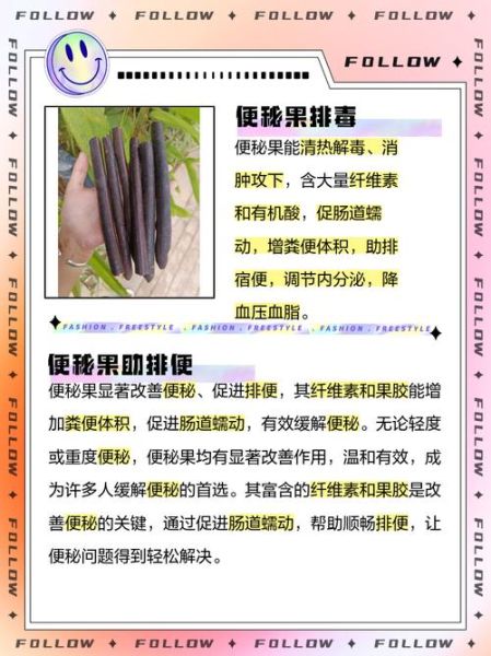 便秘果的功效与作用_便秘果怎么吃效果最好-第2张图片-山城妙识