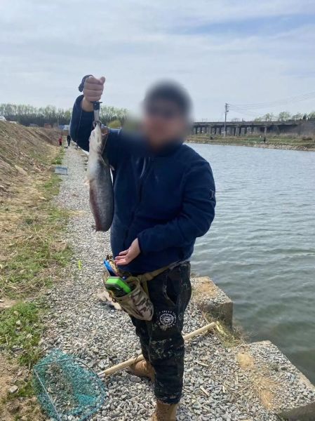 狗鱼图片多少钱一斤_狗鱼市场价格行情-第3张图片-山城妙识