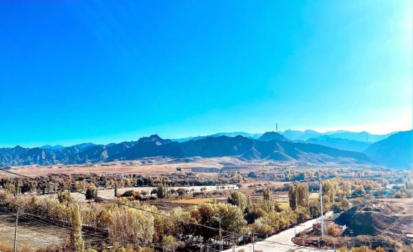 狗鱼图片多少钱一斤_狗鱼市场价格行情-第2张图片-山城妙识